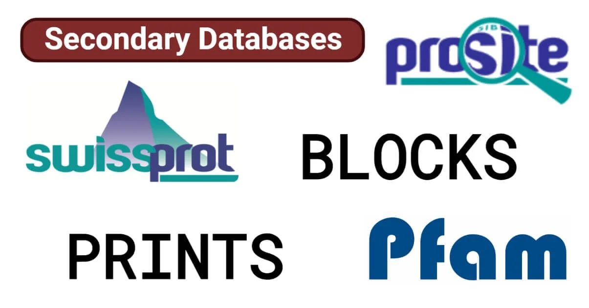 Secondary Databases- Definition, Types, Examples, Uses - Bioteck Ink. Secondary Databases- Definition, Types, Examples, Uses - Bioteck Ink.