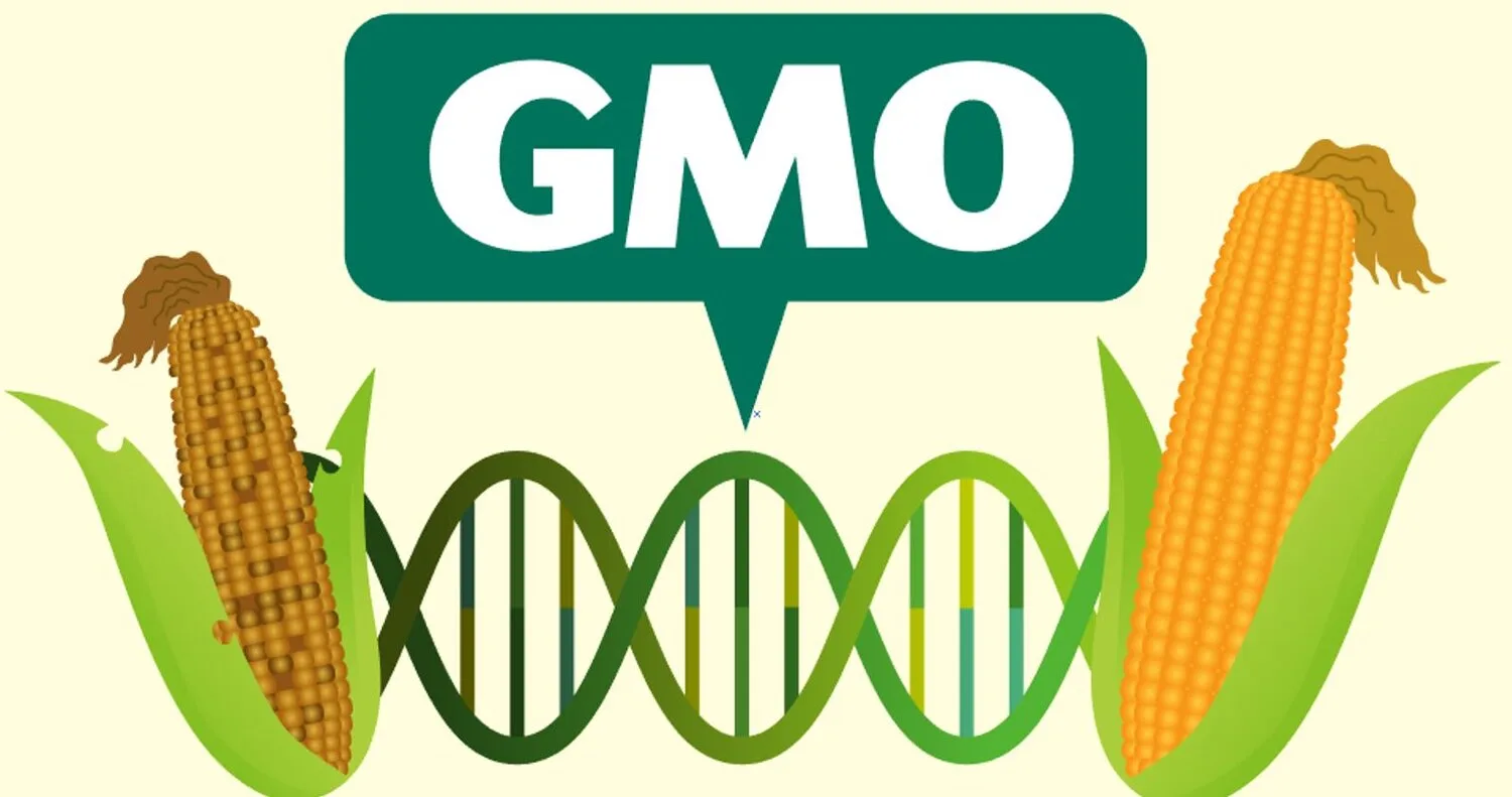 Genetically Modified Organisms (GMOs), Applications, Advantages ...