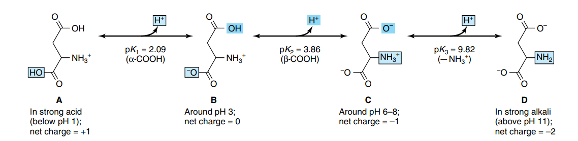 Amino Acids: Properties, Biomedical Importance, and Their Role in ...